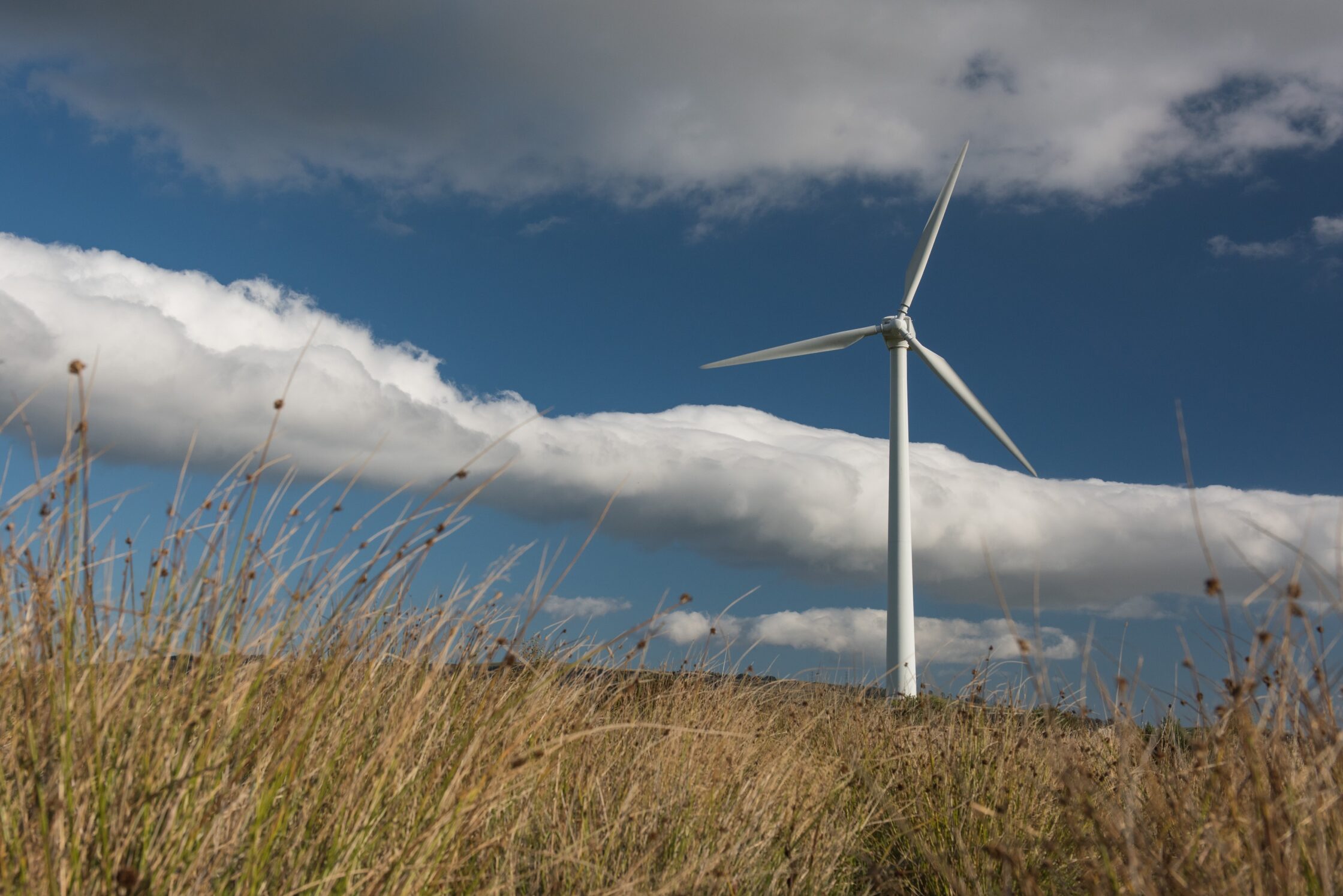 Dingwall Wind Co-operative – Sharenergy